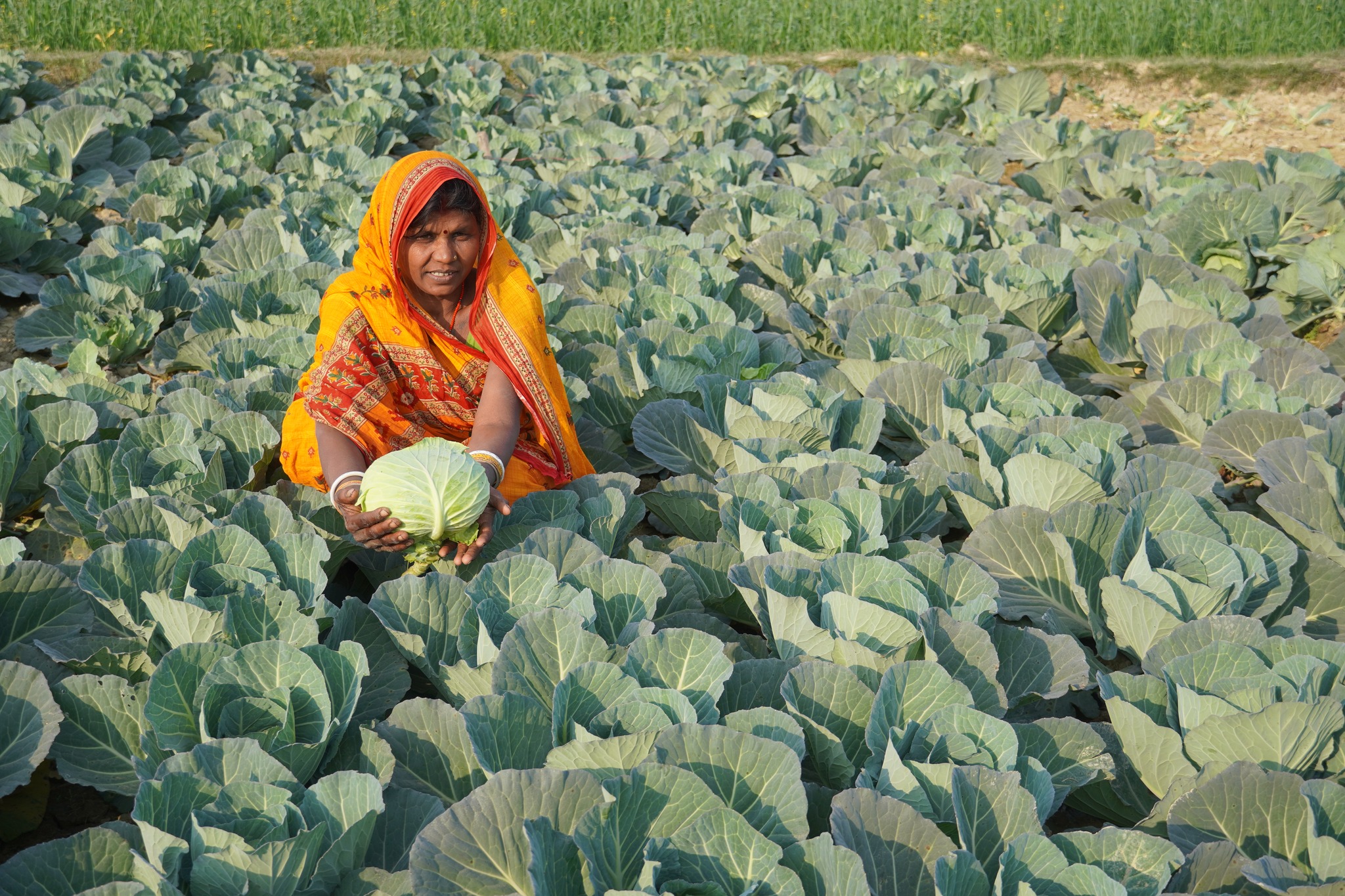 Empowering Rural Women in Agriculture : Association of Nepali ...